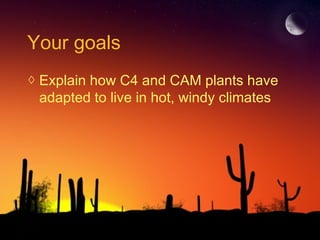 AP Biology Photosynthesis C3 C4 and CAM plants | PPT