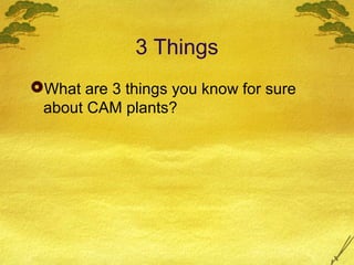 AP Biology Photosynthesis C3 C4 and CAM plants | PPT