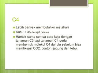 C3, c4 dan cam | PPTX