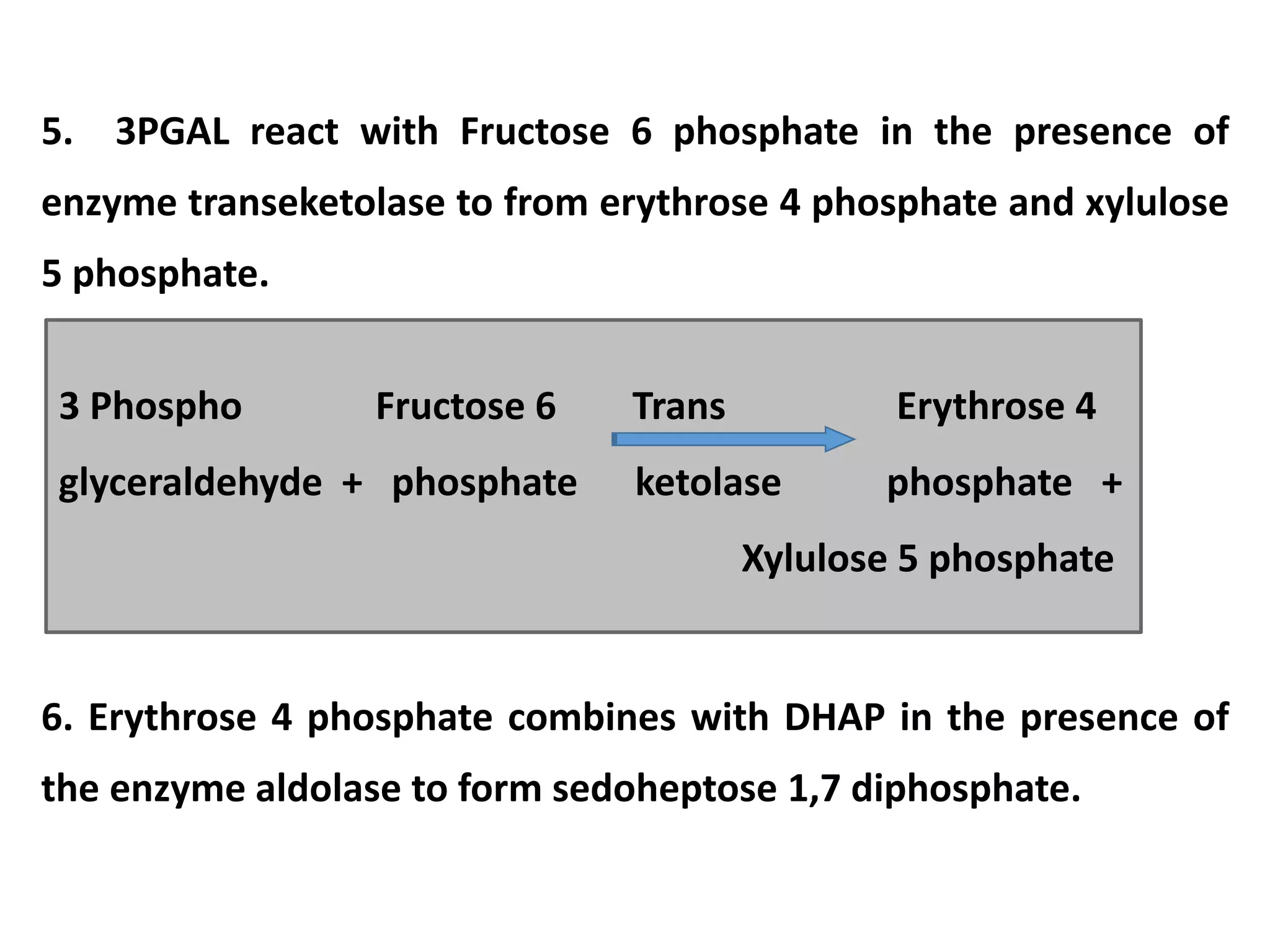 C3 cycle | PPTX | Chemistry | Science