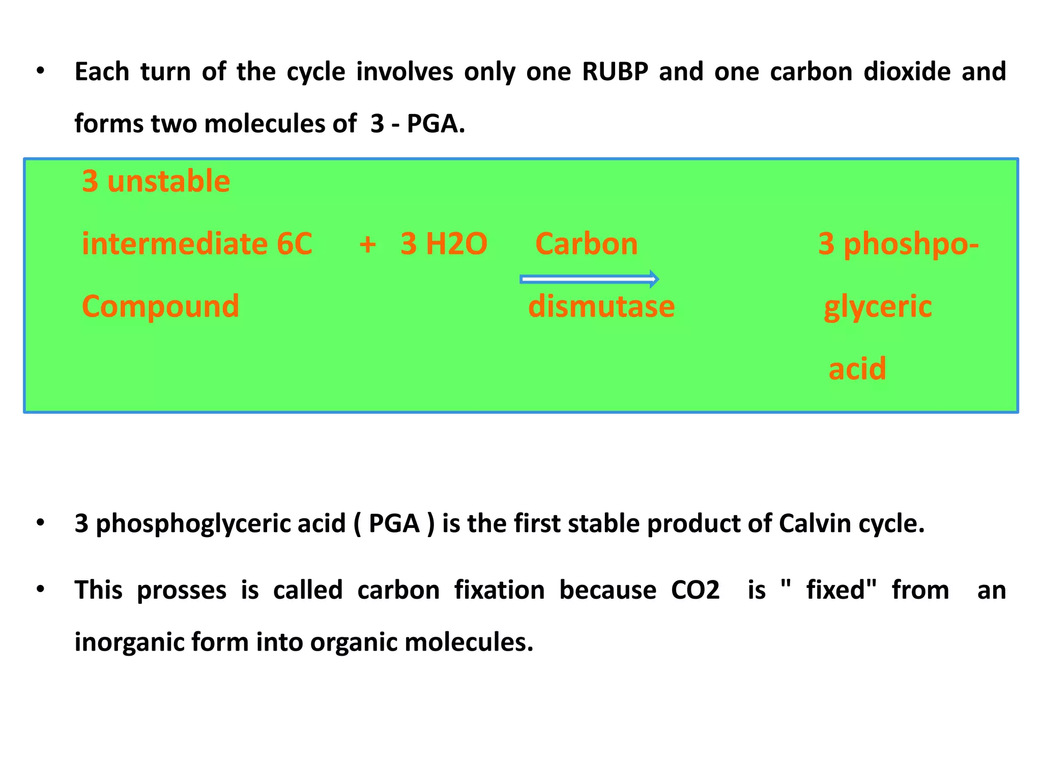 C3 cycle | PPTX