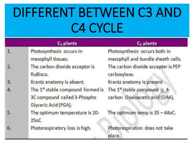 C3 cycle | PPTX | Chemistry | Science
