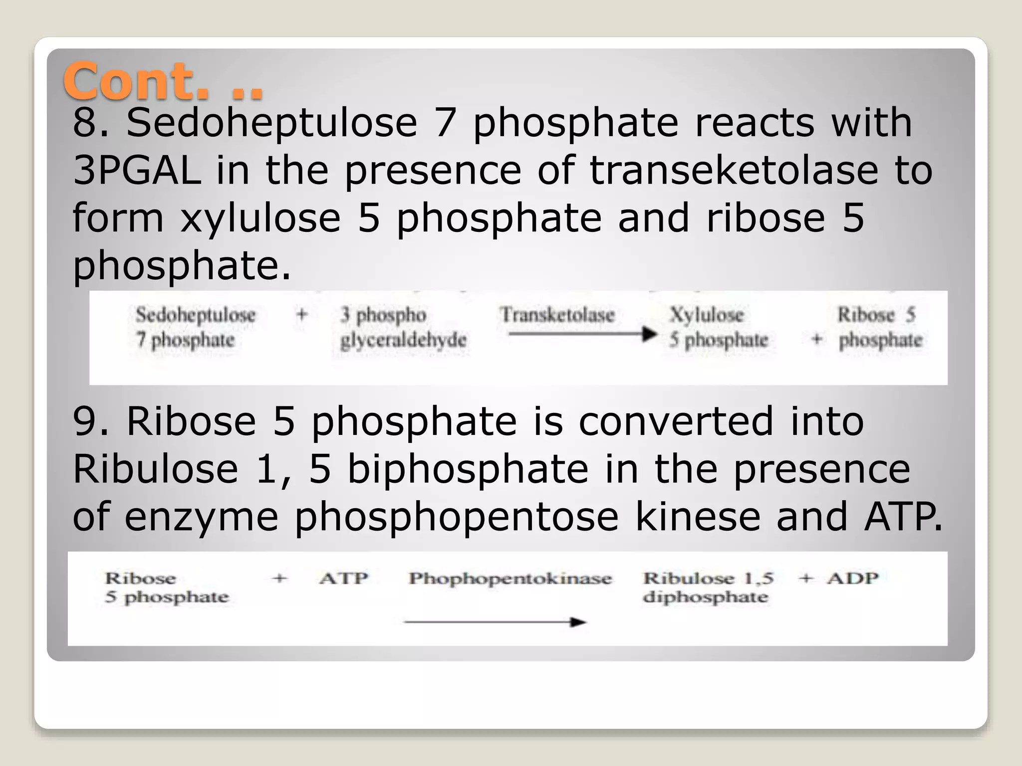 C3cycle and c4 cycle | PPTX