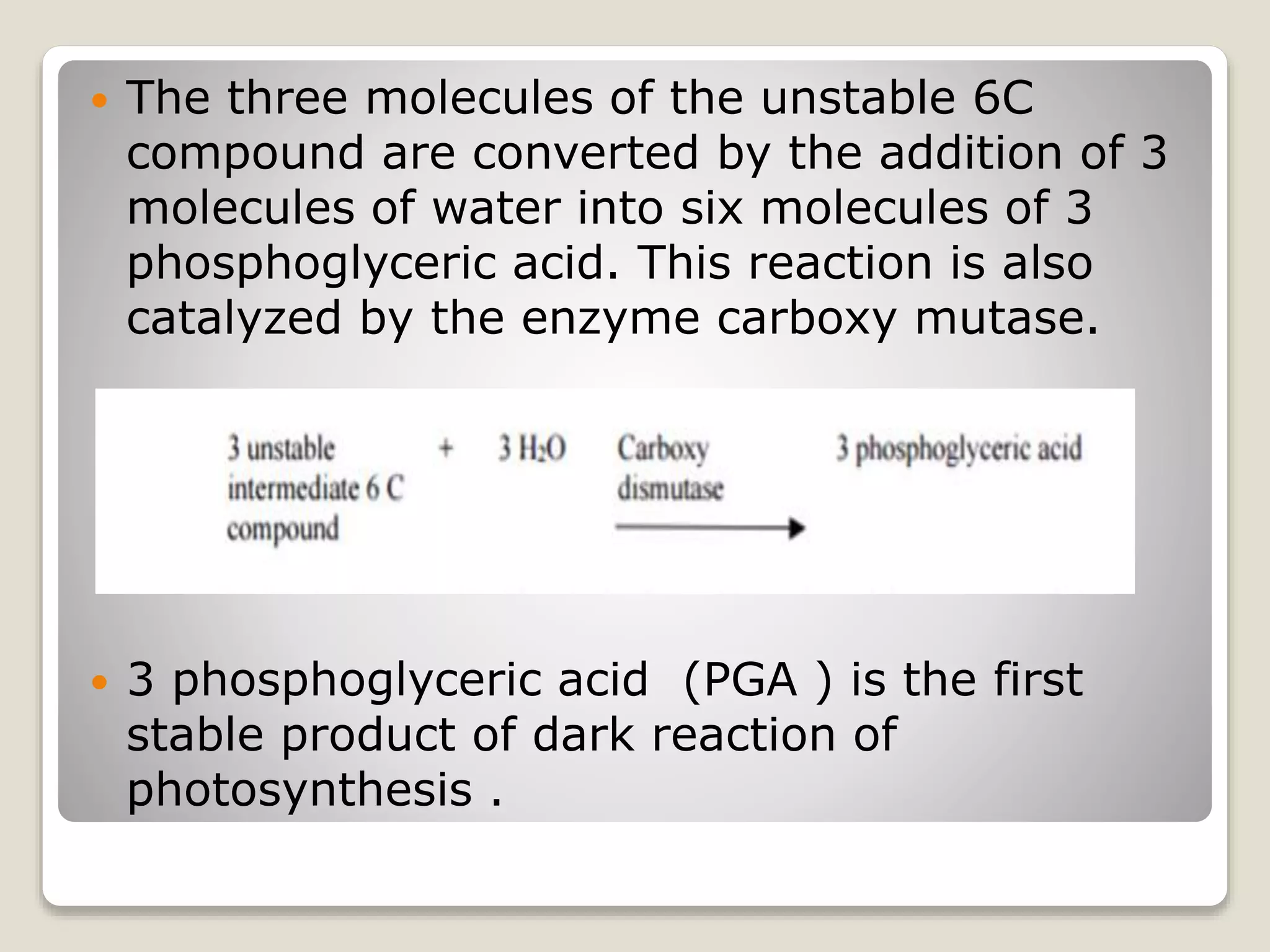C3cycle and c4 cycle | PPTX
