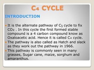 C3cycle and c4 cycle | PPTX