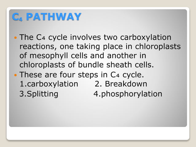 C3cycle and c4 cycle | PPTX