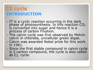 C3cycle and c4 cycle | PPTX