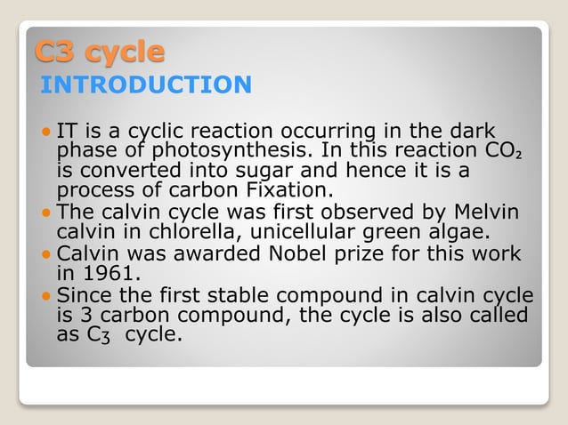 C3cycle and c4 cycle | PPTX