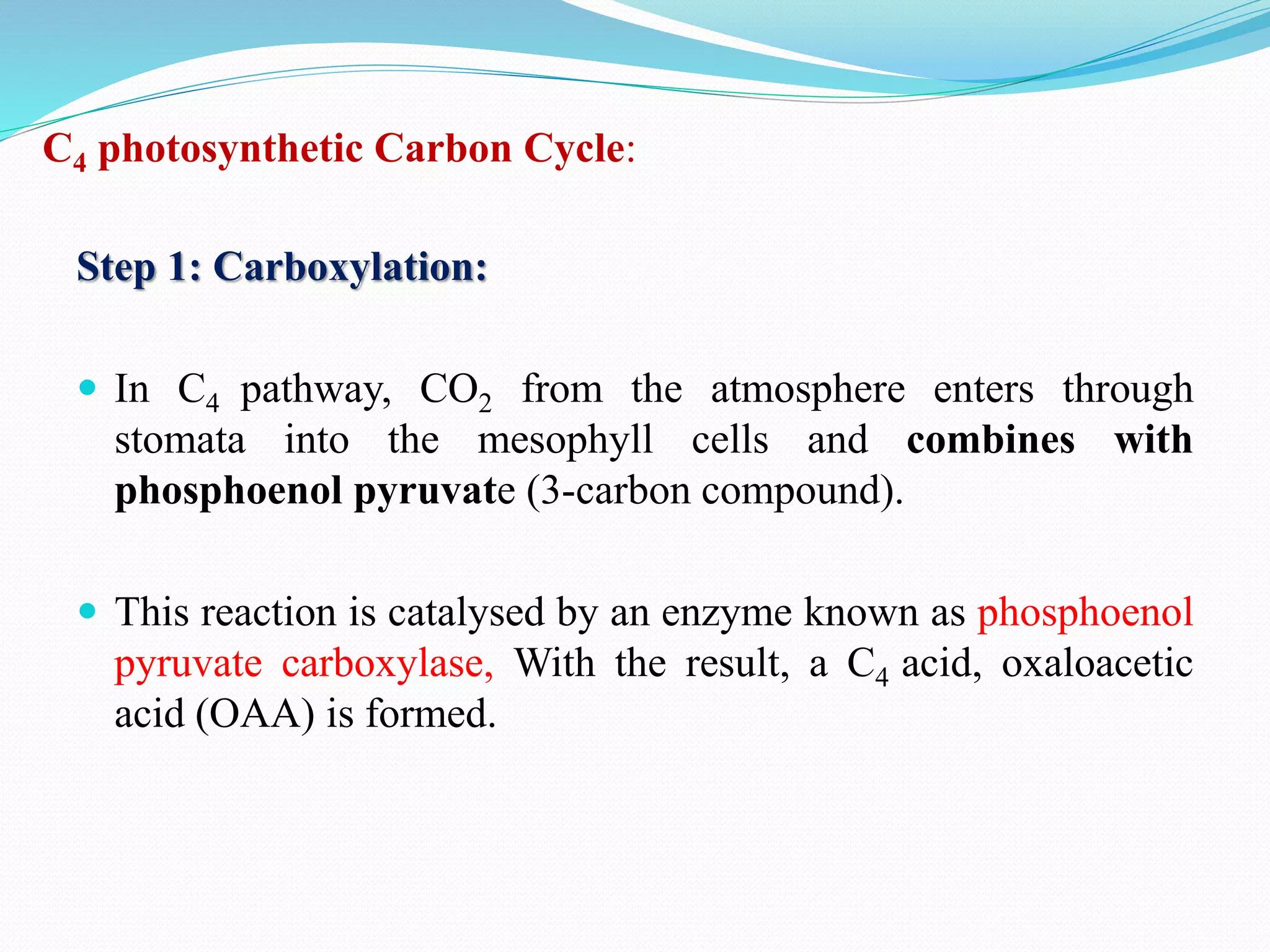 C3 cycle c4 cycle cam cycle | PPTX