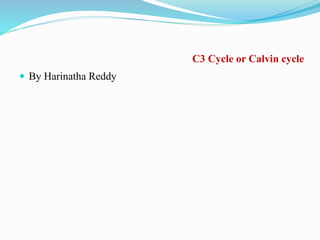 C3 cycle c4 cycle cam cycle | PPTX