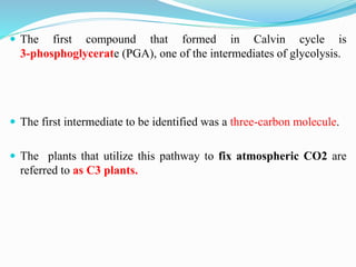 C3 cycle c4 cycle cam cycle | PPTX