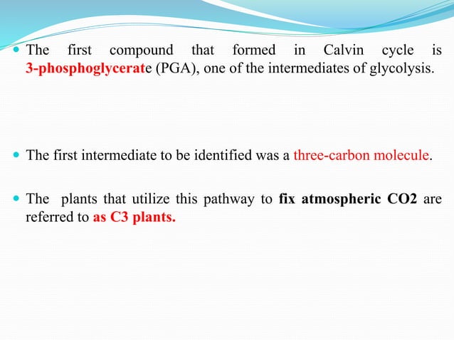 C3 cycle c4 cycle cam cycle | PPTX
