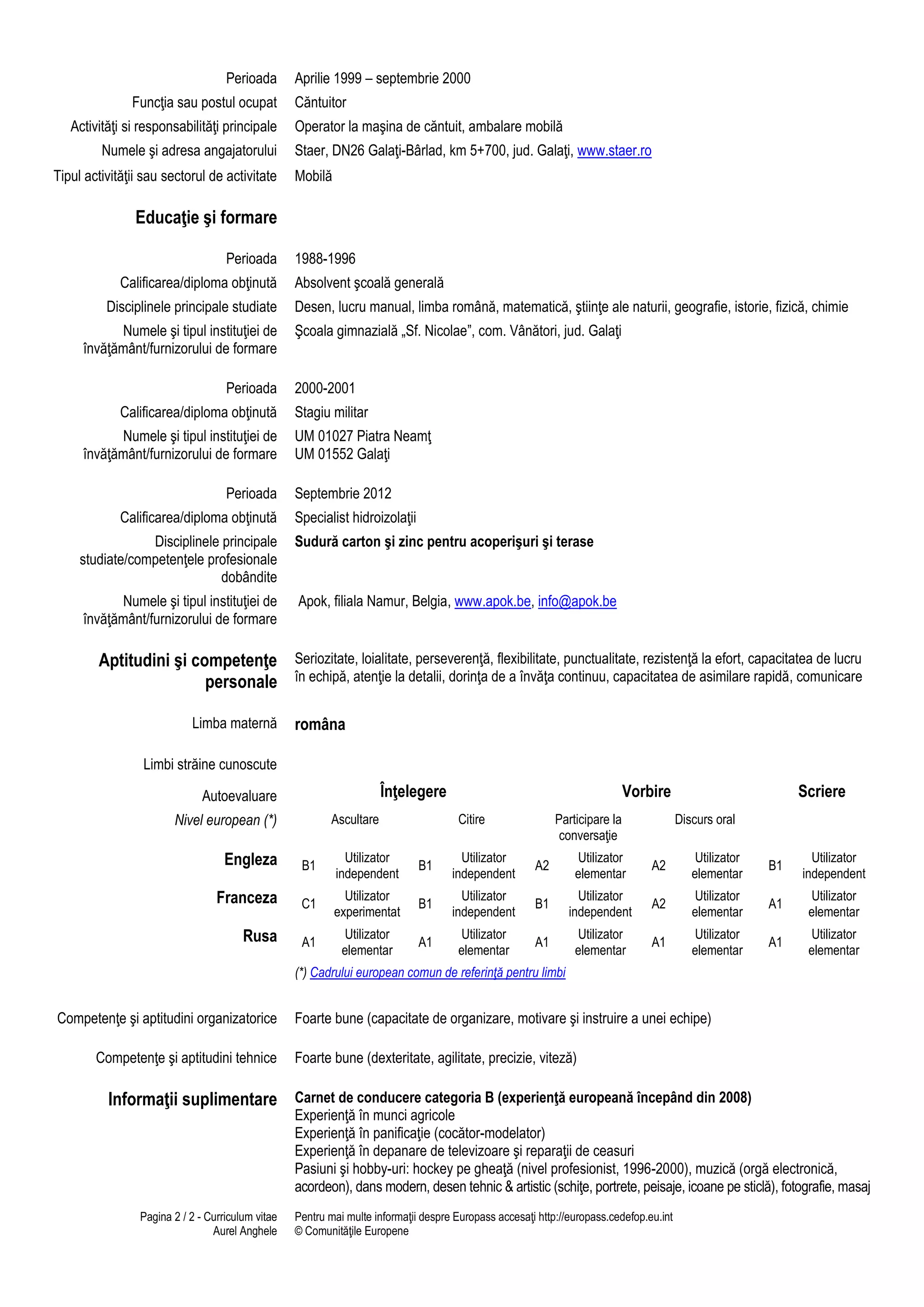 CV_Europass_2014_-_AA | PDF