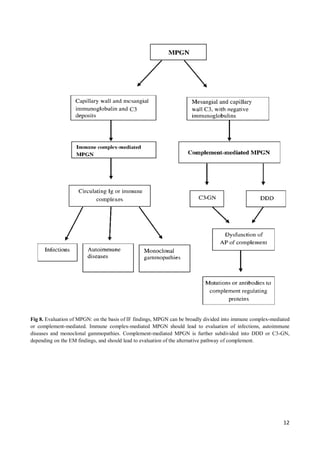 C3 glomerulopathies | PDF