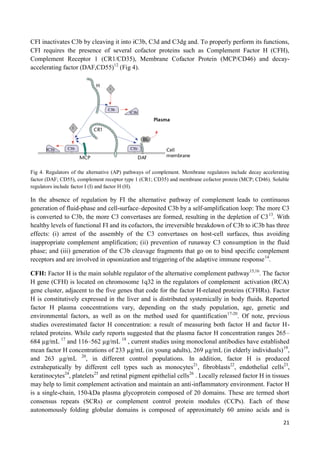 C3 glomerulopathies | PDF