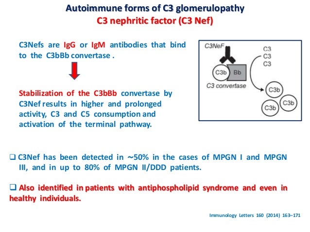 C3 glomerulopathy..