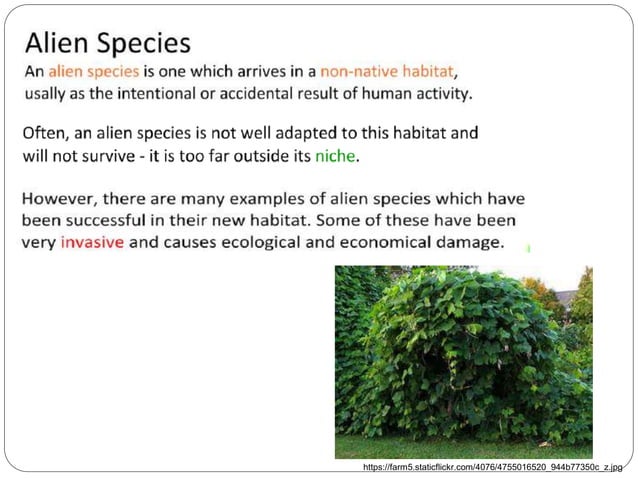C3 impact of humans | PPT