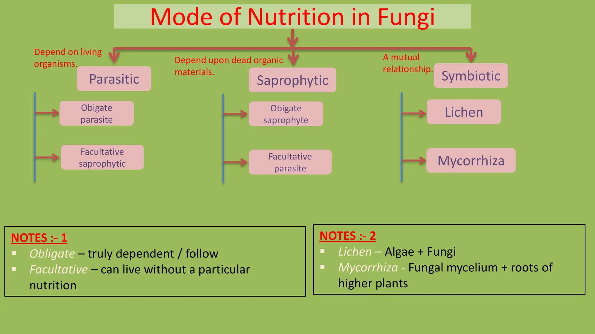 c3l4.pptx bsc botany fungi general characteristic | PPT