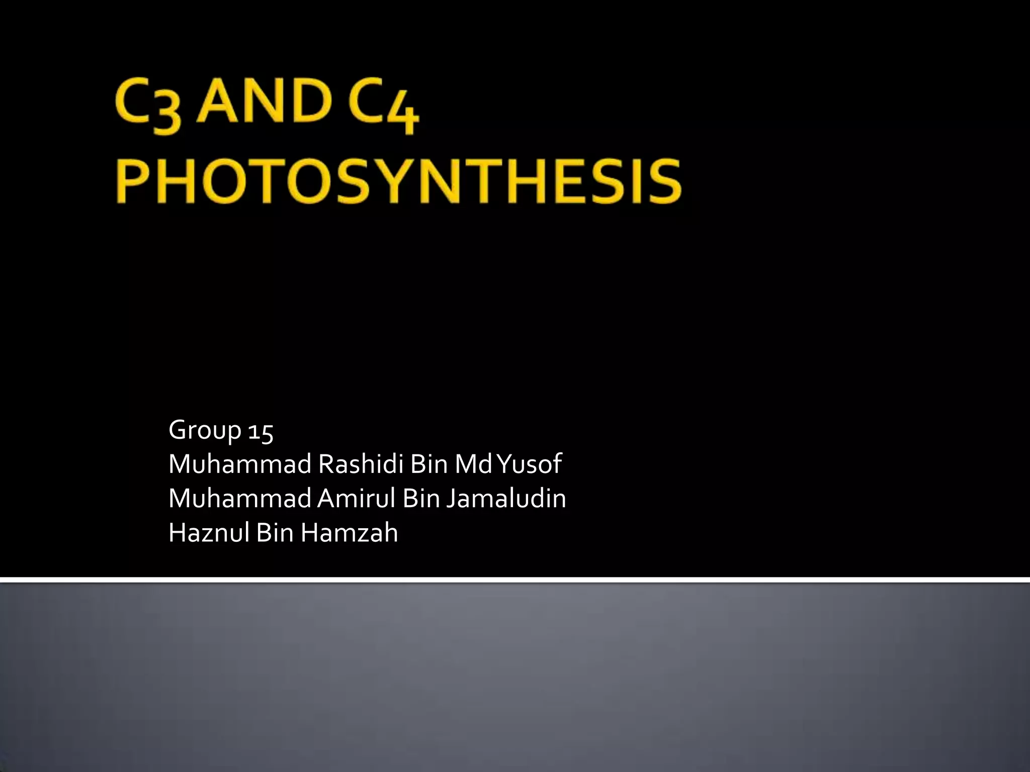 c3 & c4 Photosynthesis | PPTX
