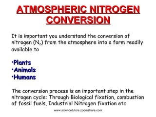C3 NITROGEN CYCLE REVISION QUESTIONS | PPT