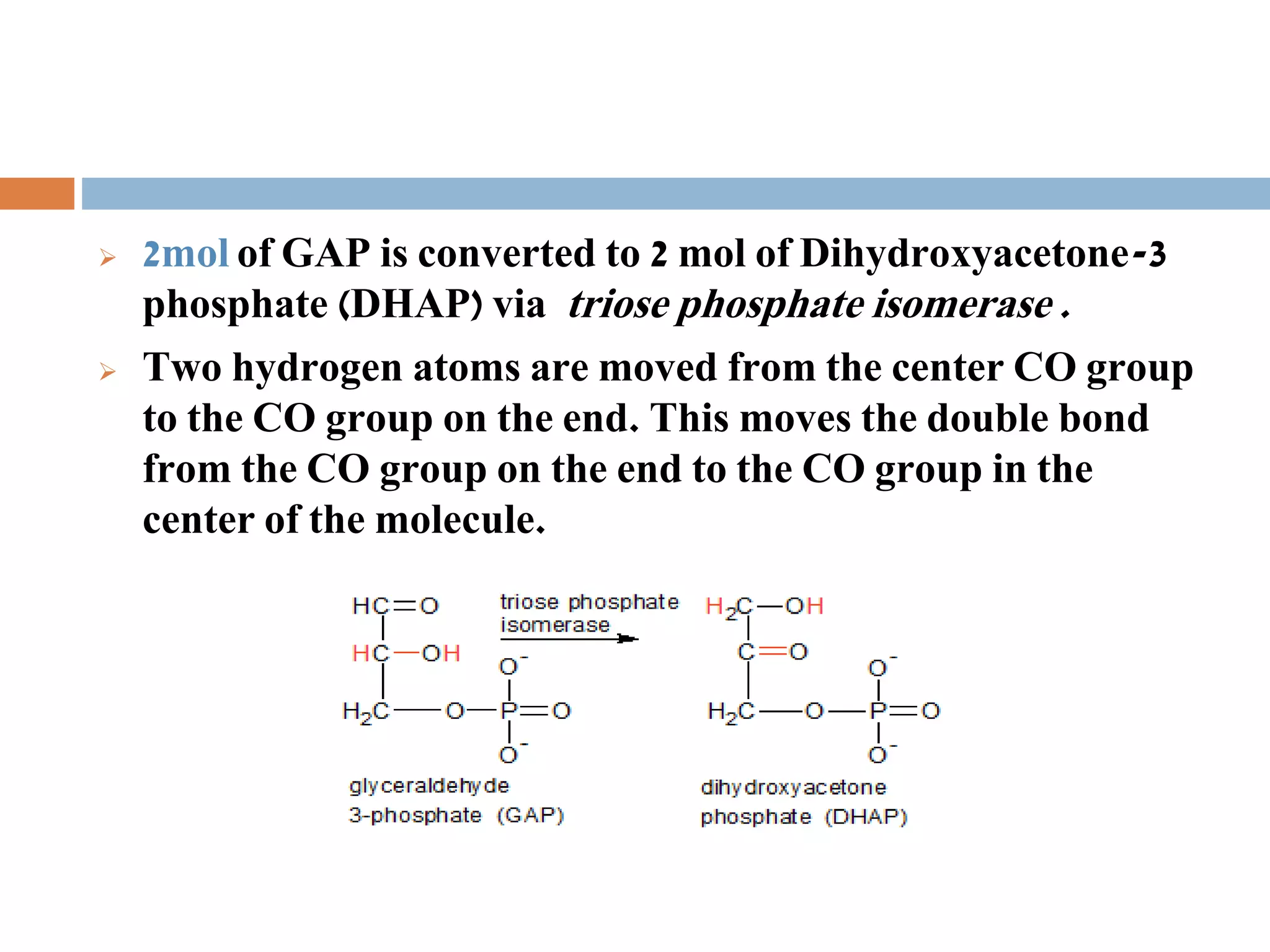 C3 pathway in plants. | PPTX