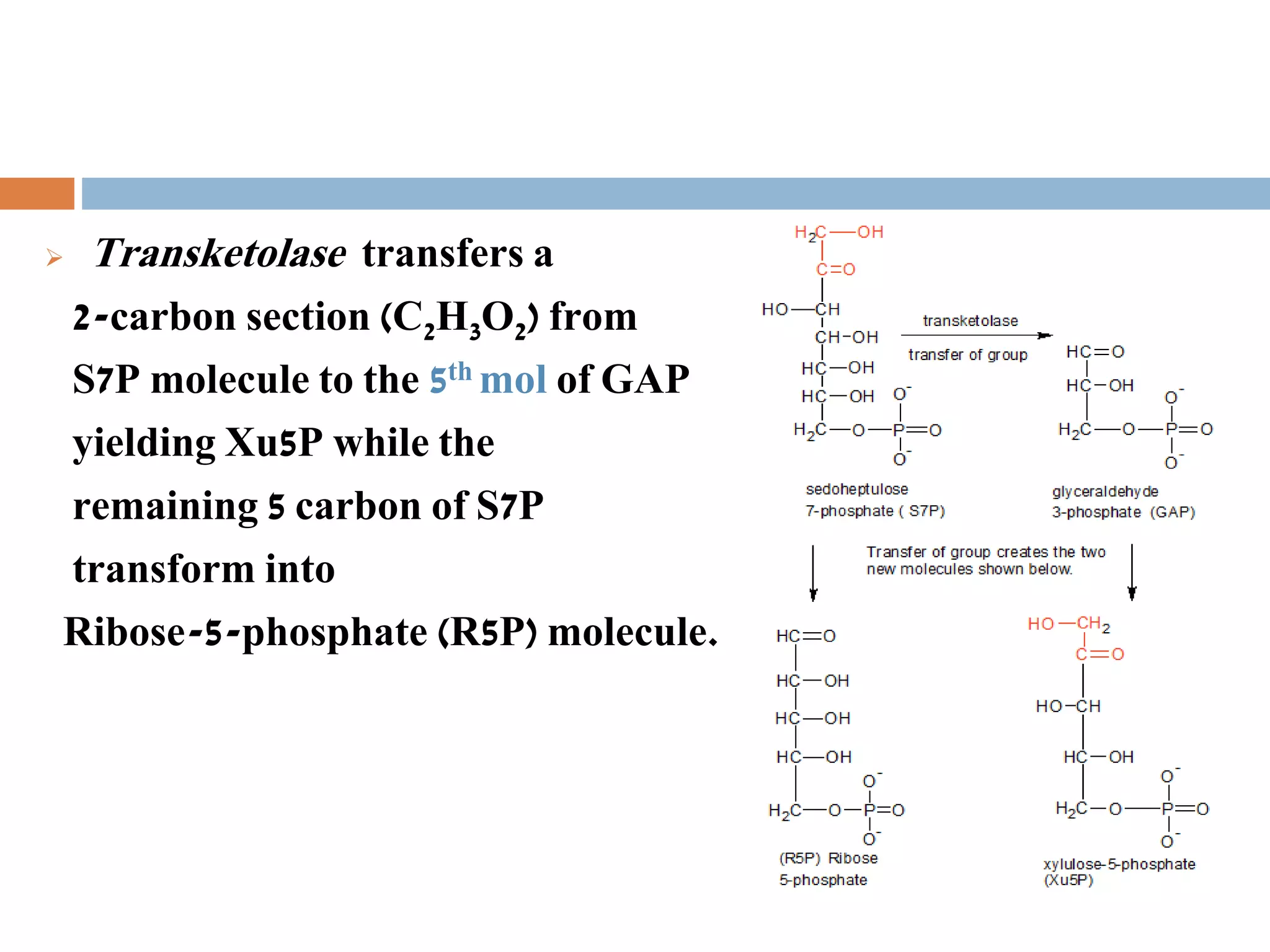 C3 pathway in plants. | PPTX