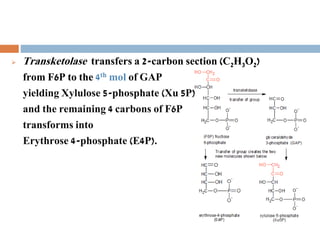 C3 pathway in plants. | PPTX
