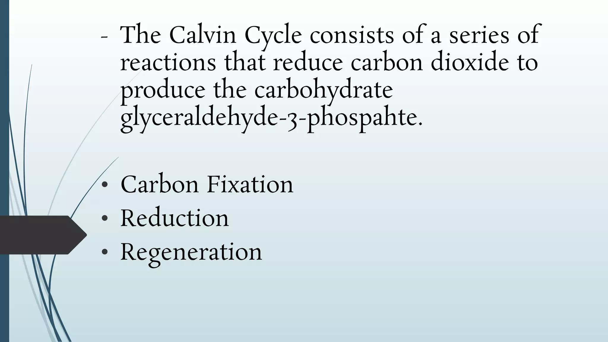 C3 pathway | PDF