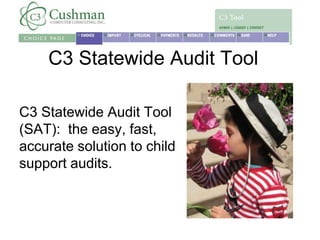 C3 Statewide Audit Tool (SAT) | PPTX