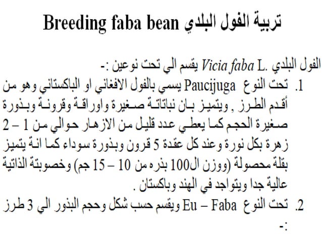 Breeding faba bean تربية الفول البلدى | PPT