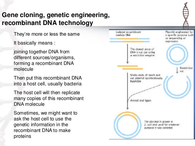 DNA Cloning