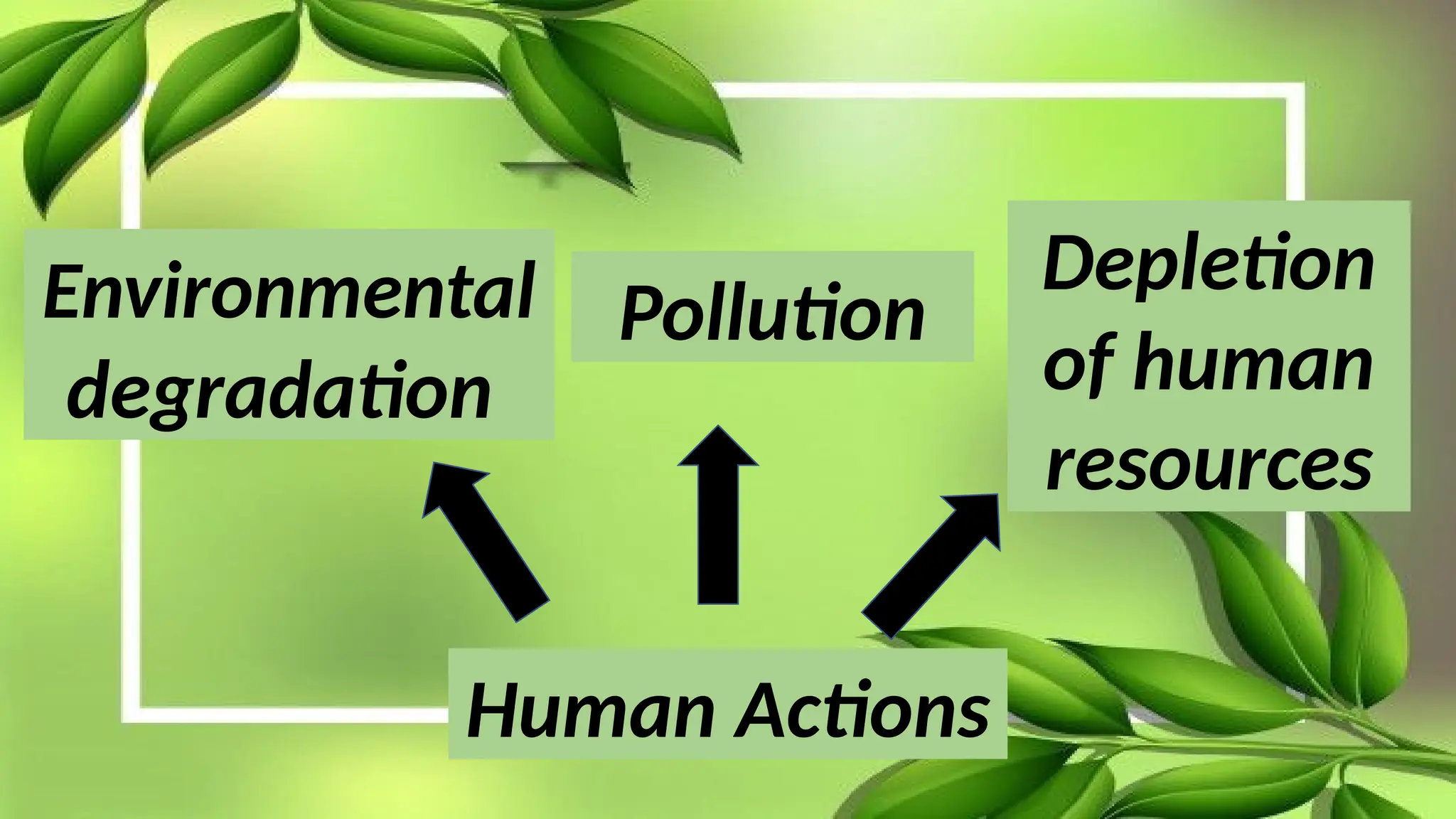 C 4- philo1- The Human Person in their Environment.pptx