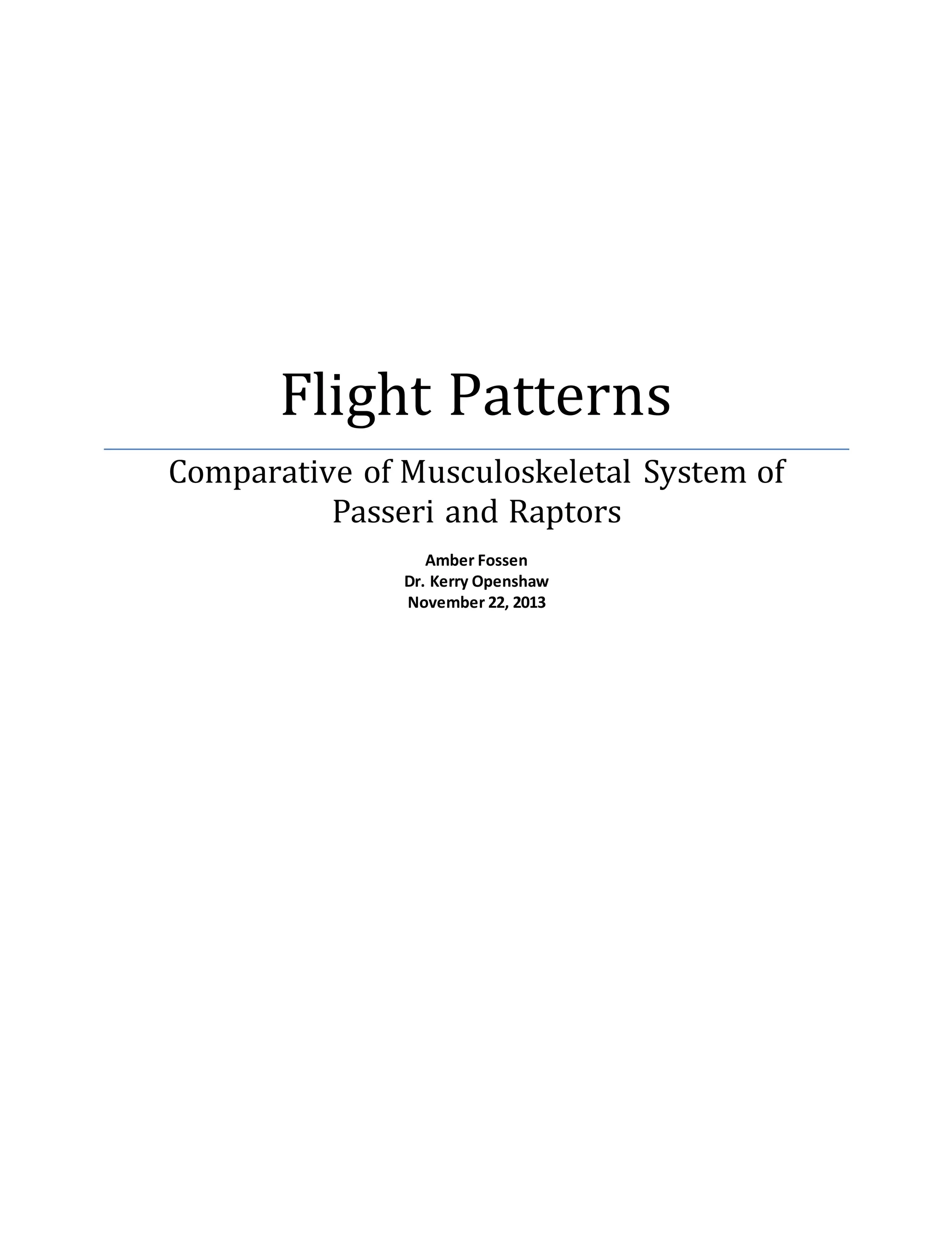 Flight Patterns Reseach Paper | PDF