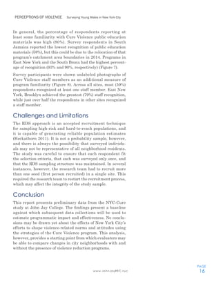 perceptionsofviolence | PDF