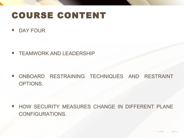 AVIATION SECURITY PRESENTATION | PPT | Air Travel | Travel Type