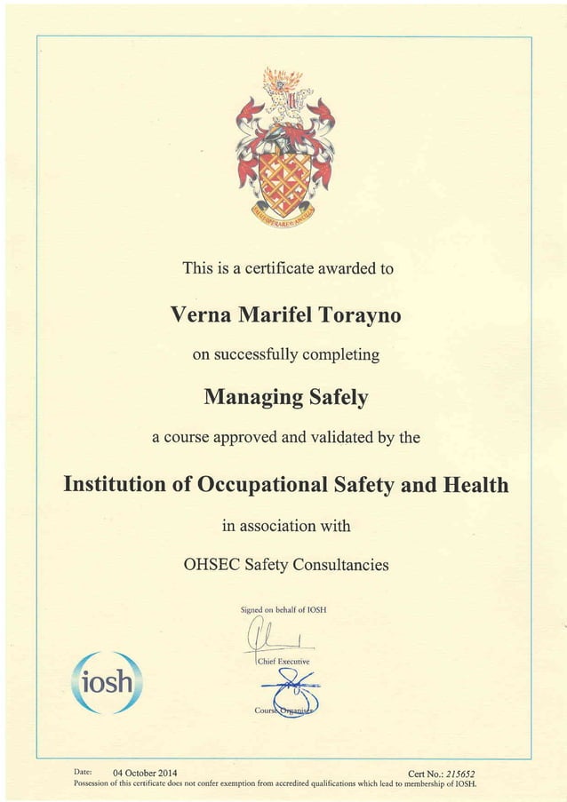 MANAGING SAFETY (1) | PDF