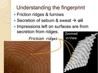 Fingerprints | PPTX