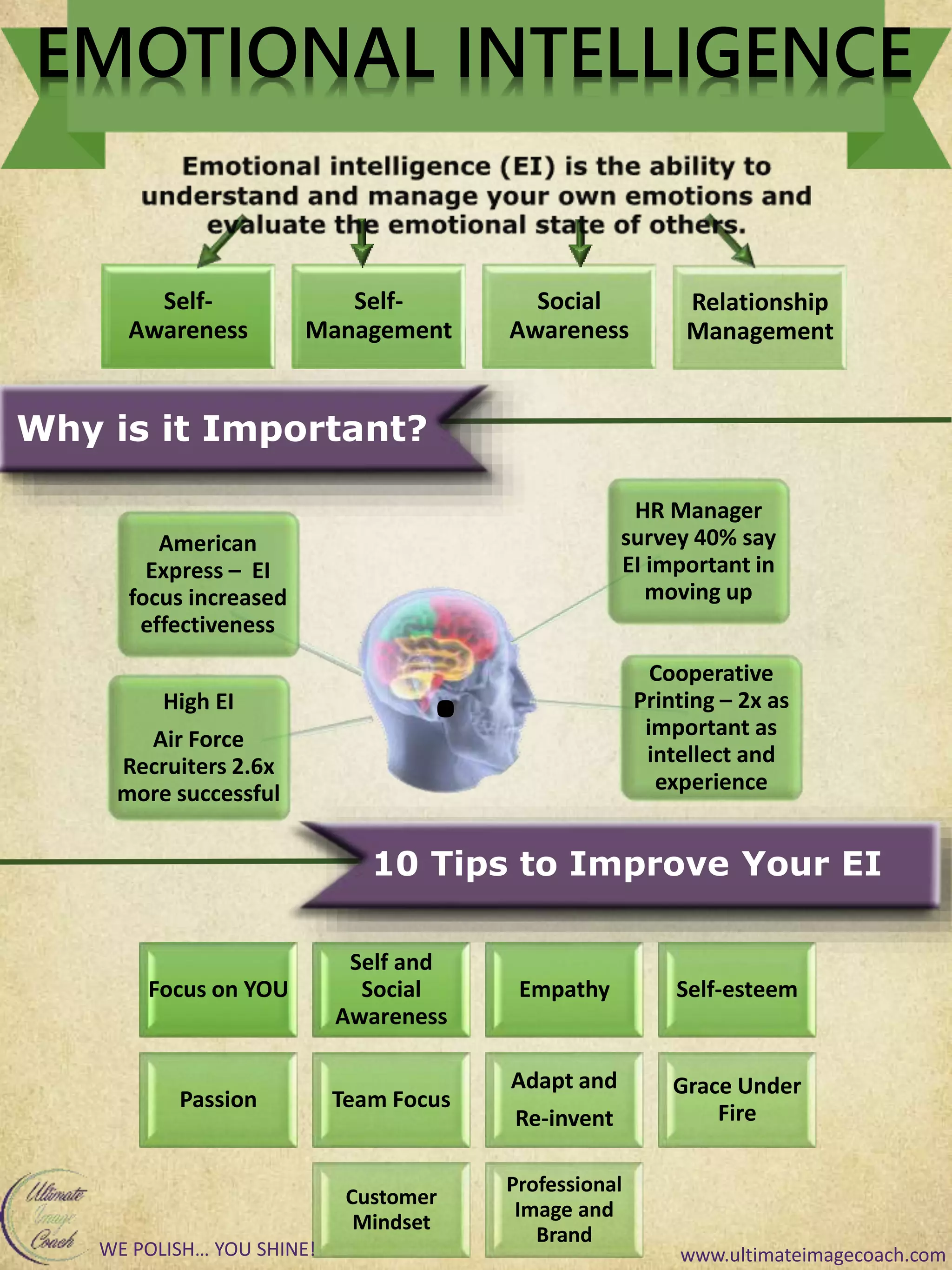 Managing Emotions Infographic | PPTX