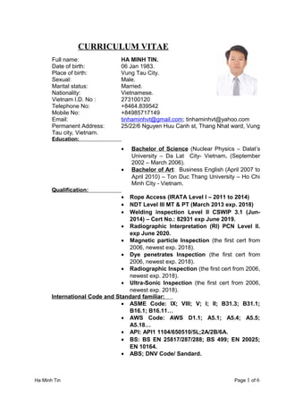 Tin's CV | PDF