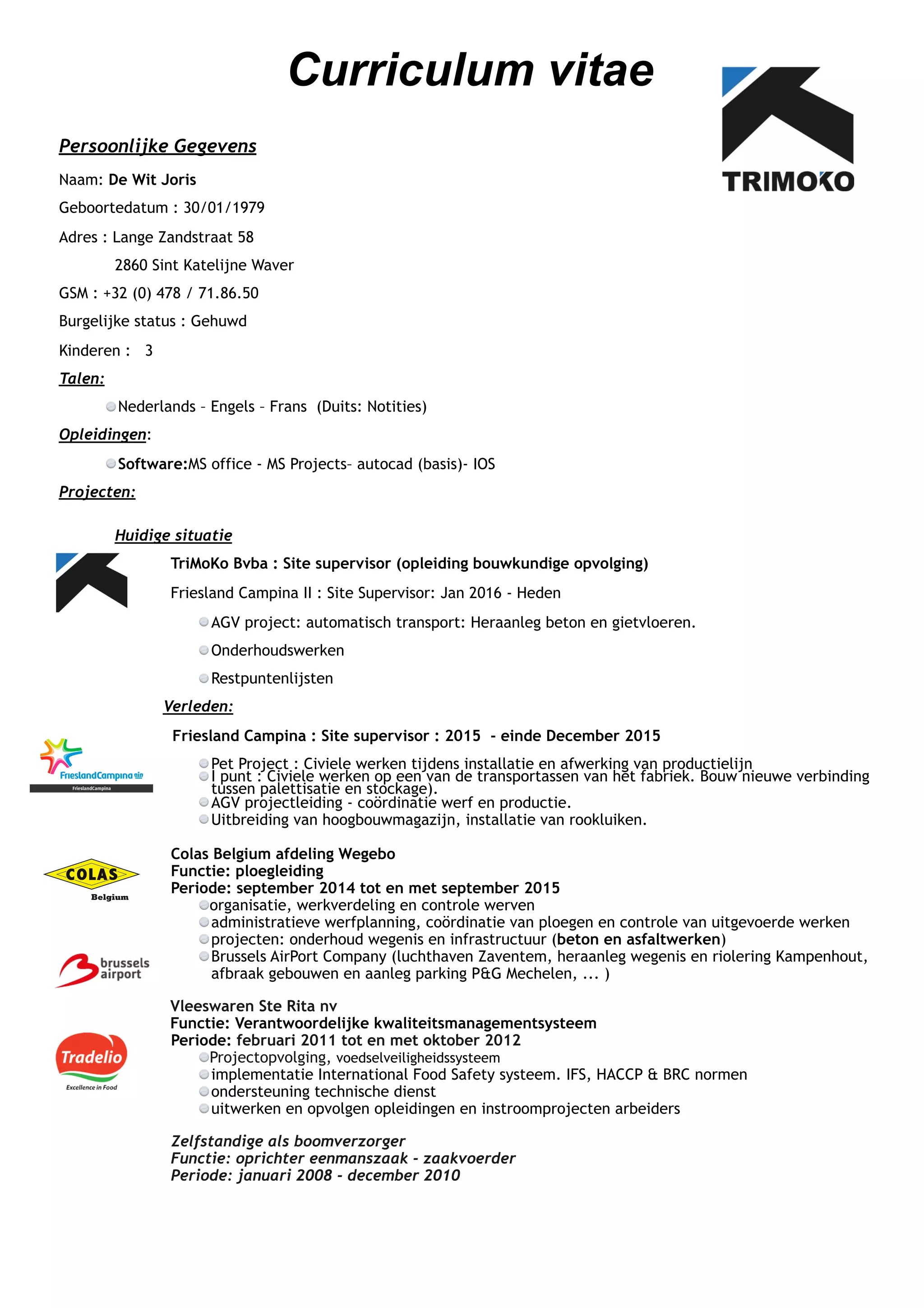 Curriculum Vitae Joris De Wit | PDF | Business | Business and Finance