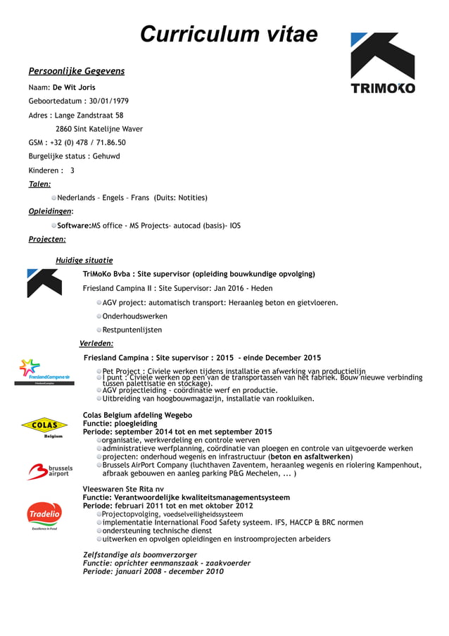 Curriculum Vitae Joris De Wit | PDF | Business | Business and Finance