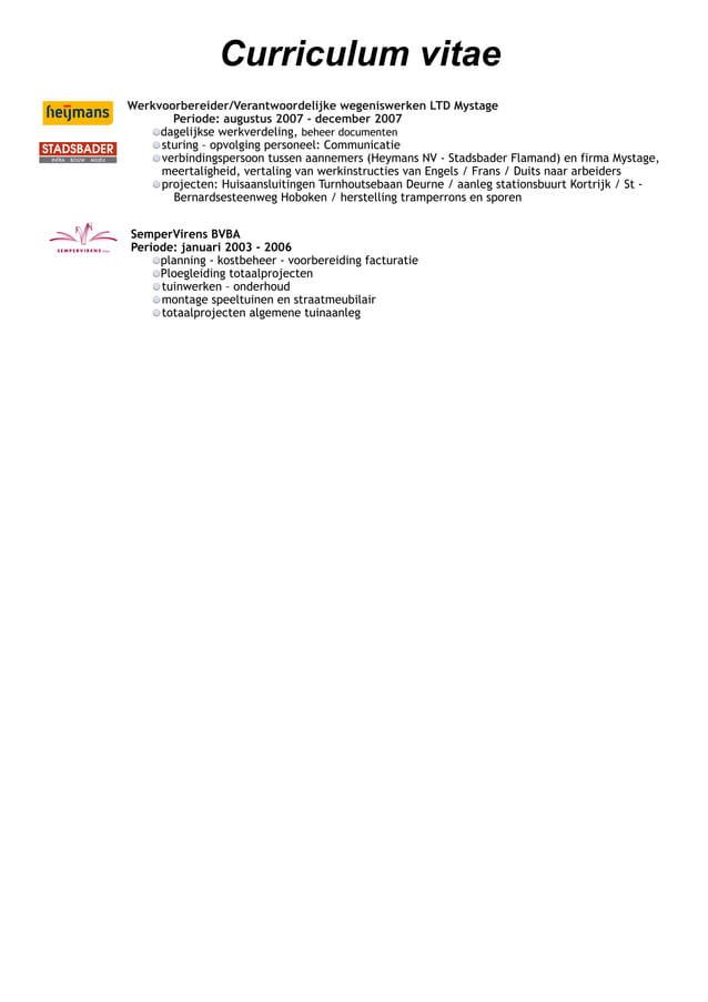 Curriculum Vitae Joris De Wit | PDF | Business | Business and Finance