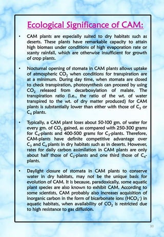C4 and cam pathway pdf | PDF