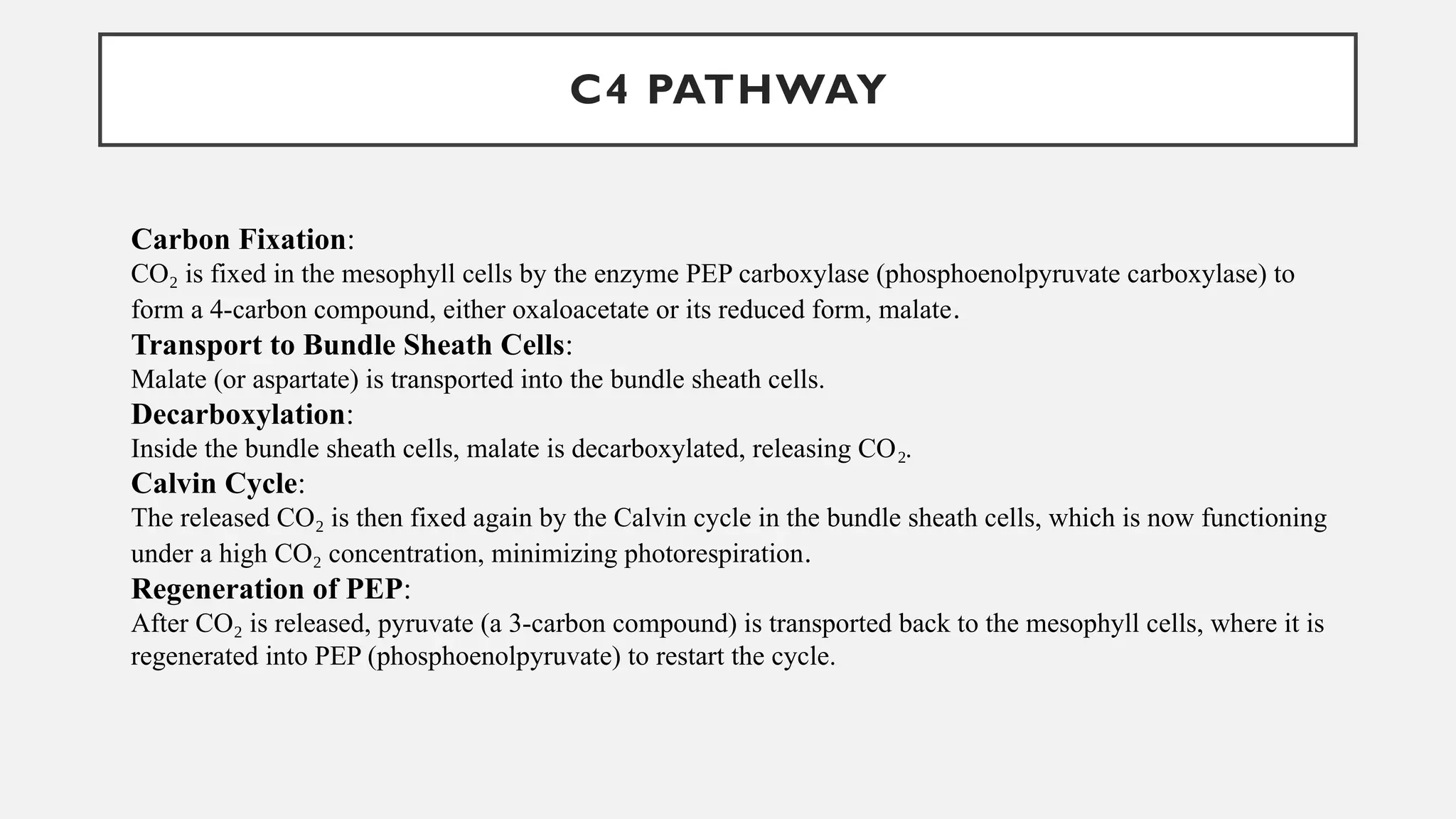 C4 Plants and CAM Pathways in the Plants | PPTX