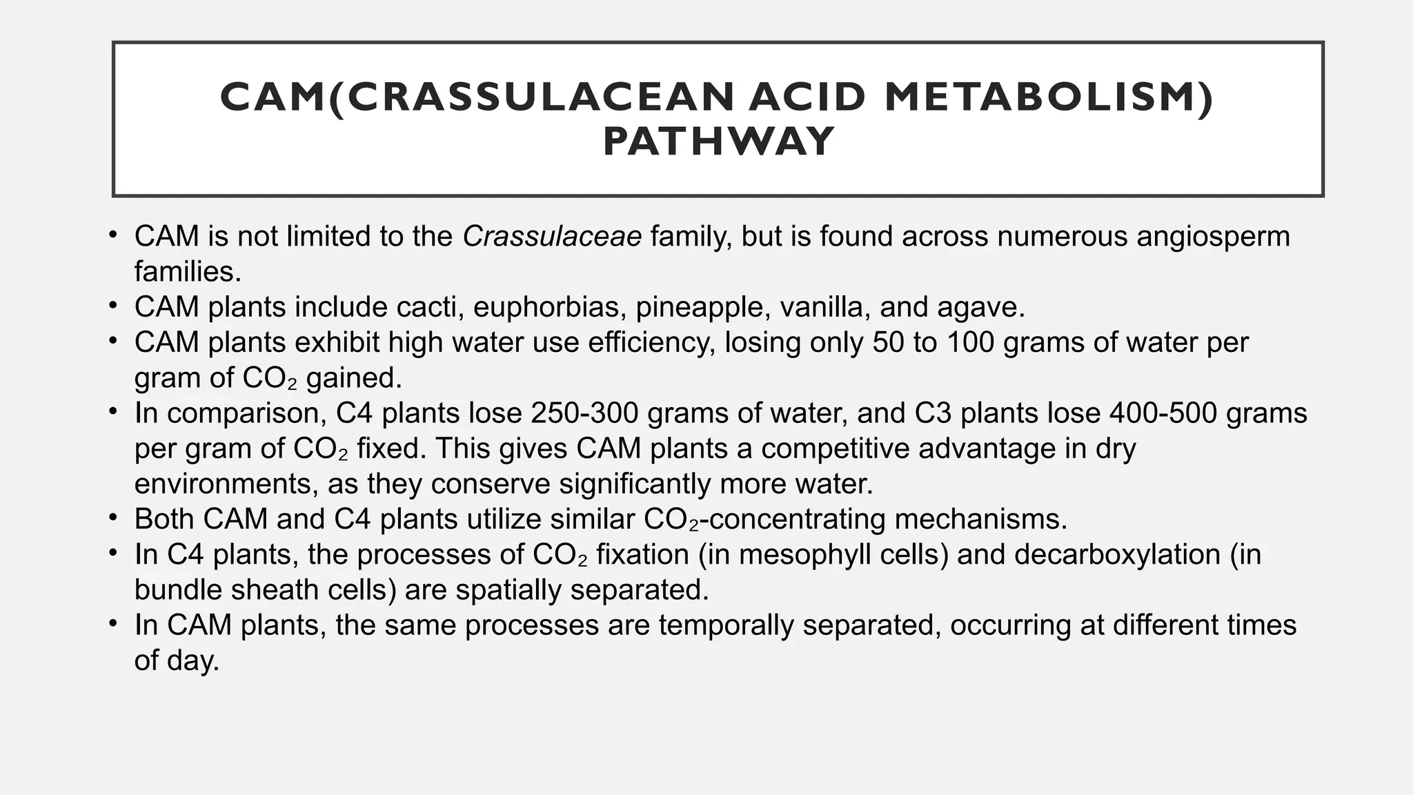 C4 Plants and CAM Pathways in the Plants | PPTX
