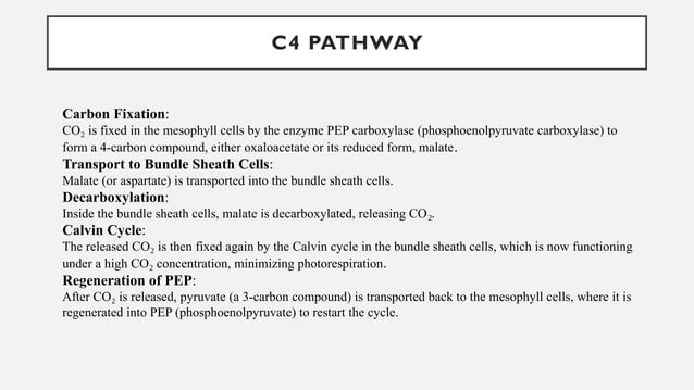 C4 Plants and CAM Pathways in the Plants | PPTX