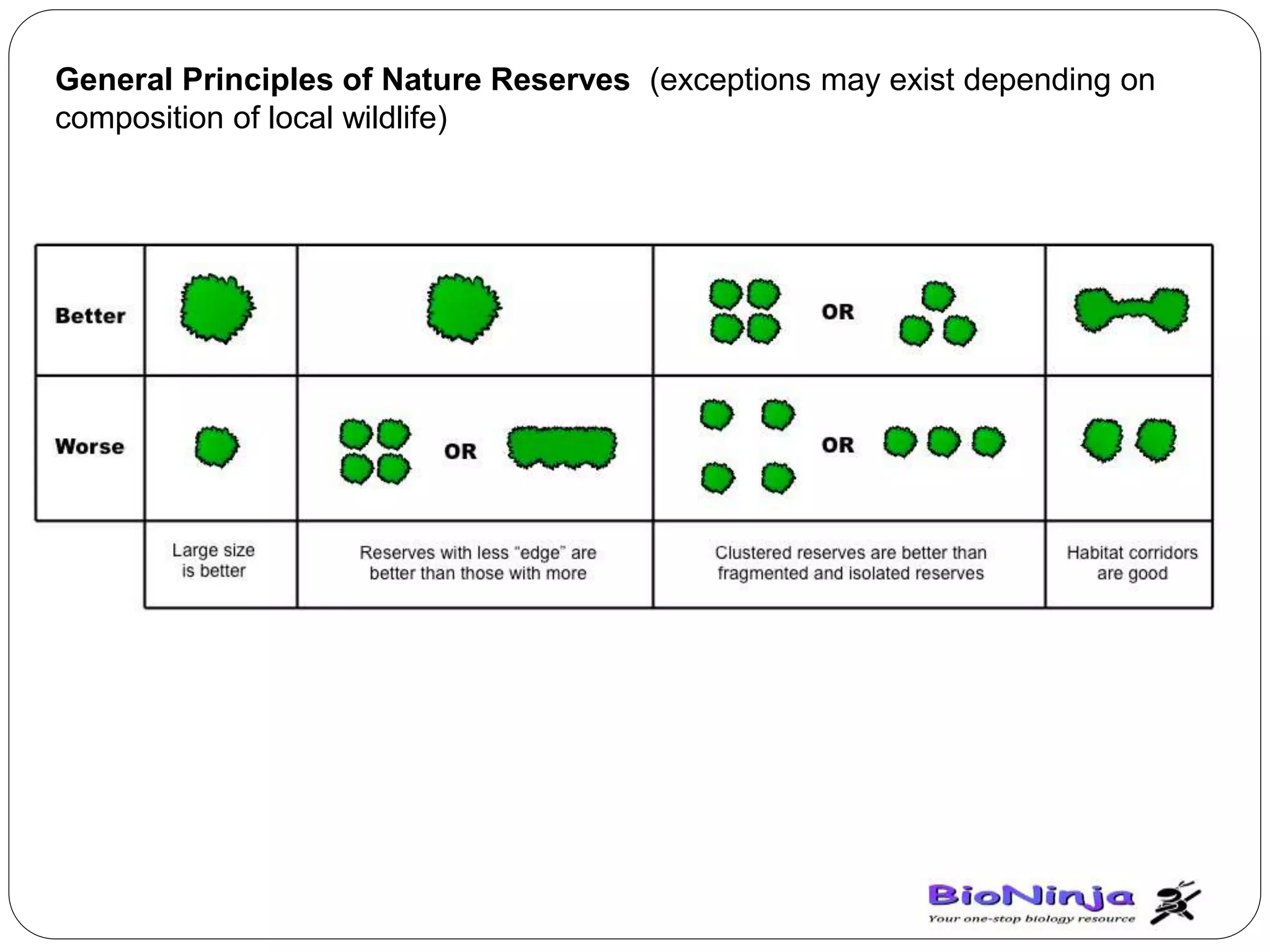 C4 conservation of biodiversity | PPTX | Geography | Science