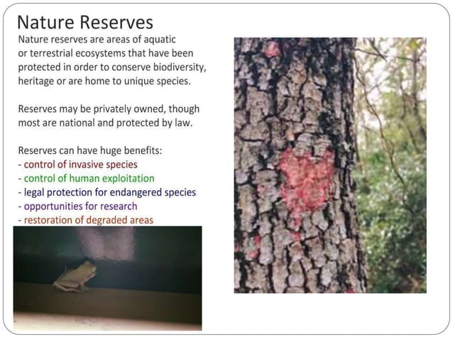 C4 conservation of biodiversity | PPT
