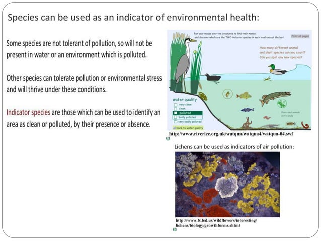 C4 conservation of biodiversity | PPT