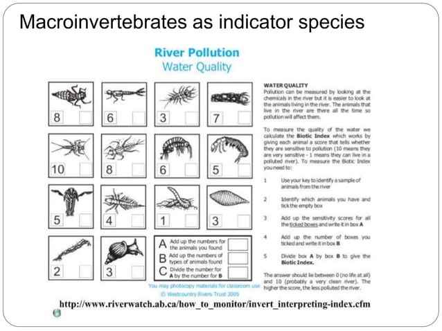 C4 conservation of biodiversity | PPT